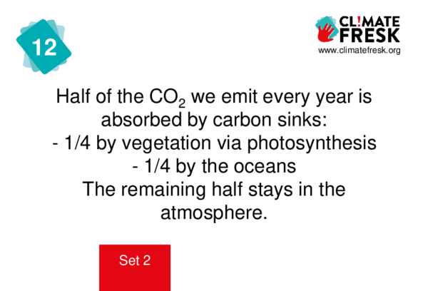 Climate Fresk - Carbon Sinks